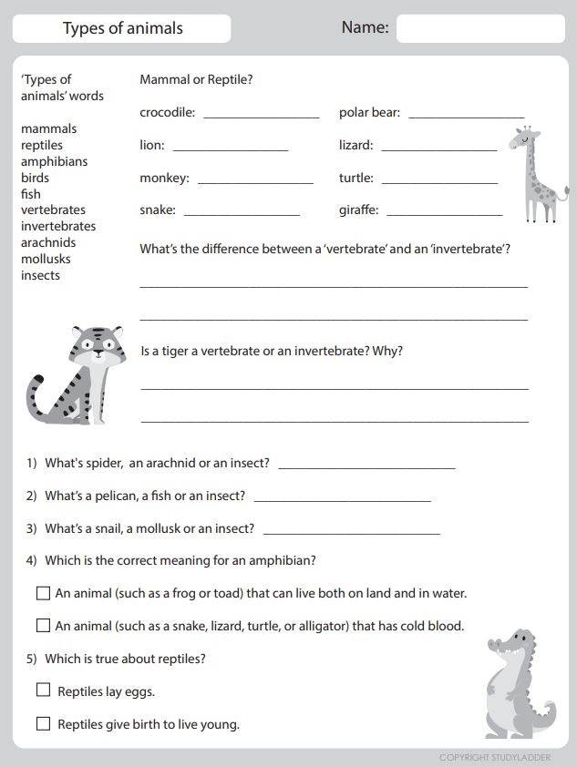 Types of Animals - Studyladder Interactive Learning Games